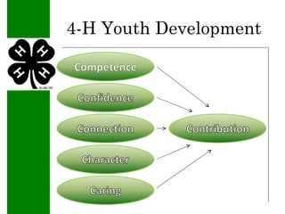 4-H Youth Development | PPT