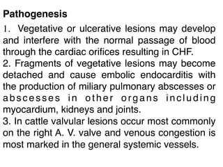 4 hydropericardium | PDF