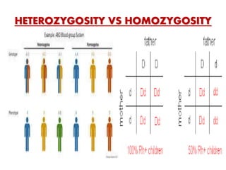 4 ih genetic principles in blood banking | PPTX