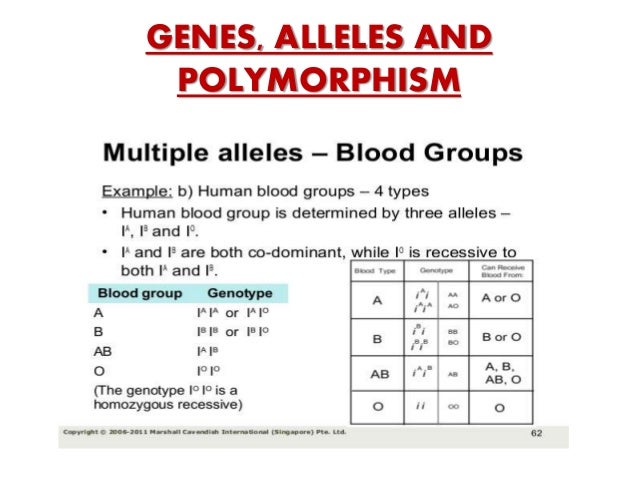 4 ih genetic principles in blood banking