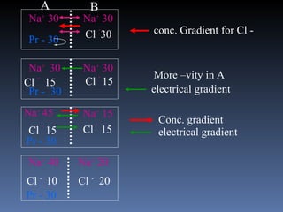 Gibbs Donnan Equilibrium for medical students | PPT