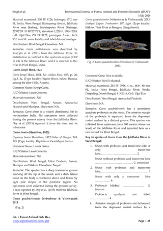 Ichthyofaunal Diversity of the Genus Garra in the Jaldhaka River Basin ...