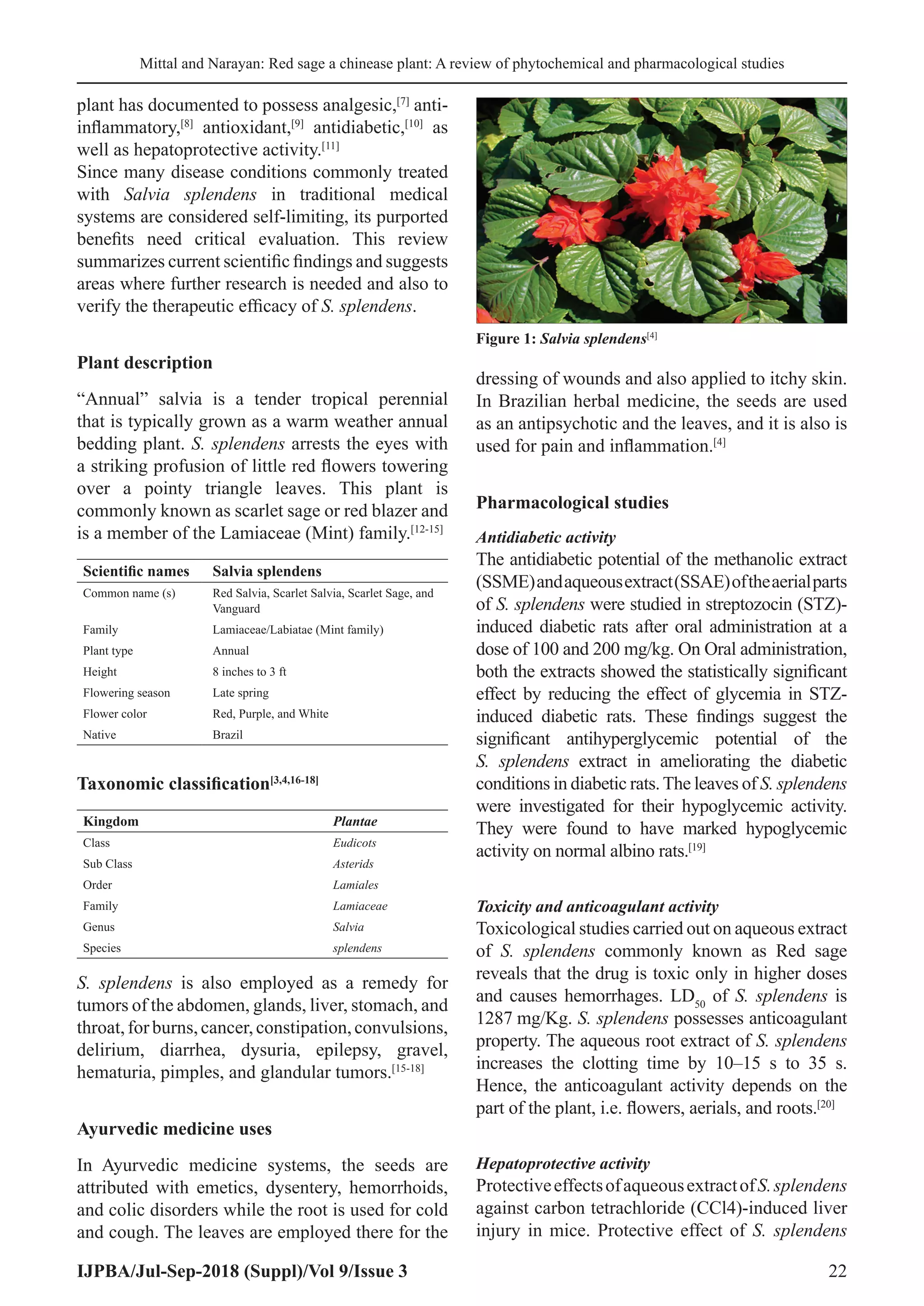 Red sage a Chinese Plant: A Review of Phytochemical and Pharmacological Studies | PDF