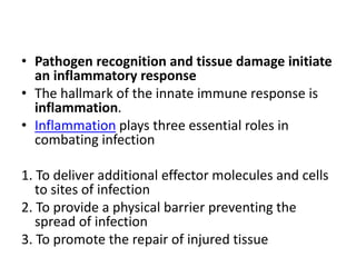 4_Immune_Response_and_Inflammation_230419.pptx