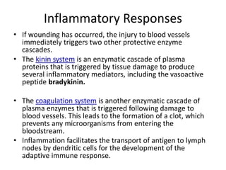 4_Immune_Response_and_Inflammation_230419.pptx