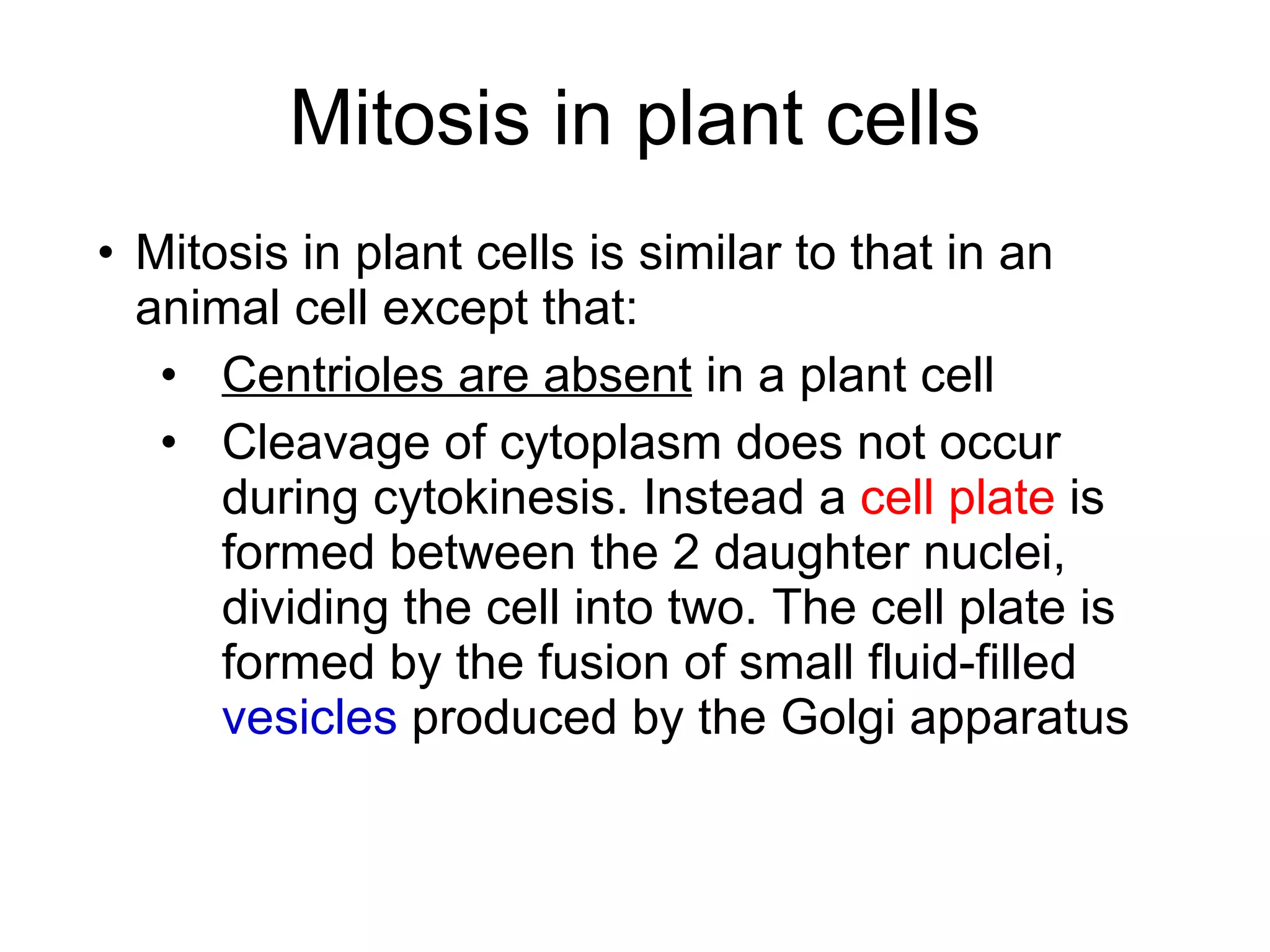 Chapter 18 Cell Division Lesson 4 - The Importance of Mitosis | PPT