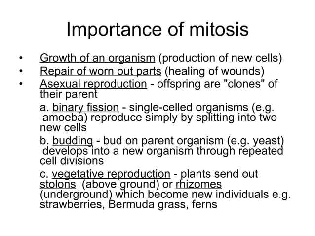 Chapter 18 Cell Division Lesson 4 - The Importance of Mitosis | PPT
