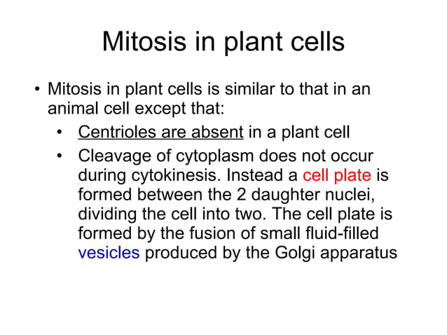 Chapter 18 Cell Division Lesson 4 - The Importance of Mitosis | PPT