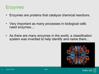 Enzyme classification | PPT | Chemistry | Science