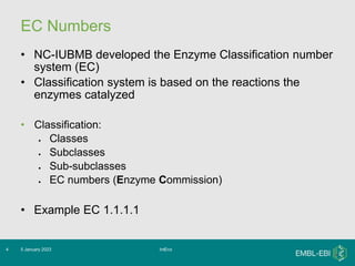 Enzyme classification | PPT | Chemistry | Science