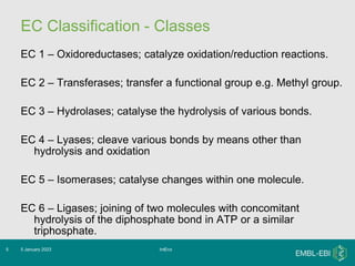 Enzyme classification | PPT | Chemistry | Science