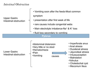 Intestinal Obstruction | PPTX