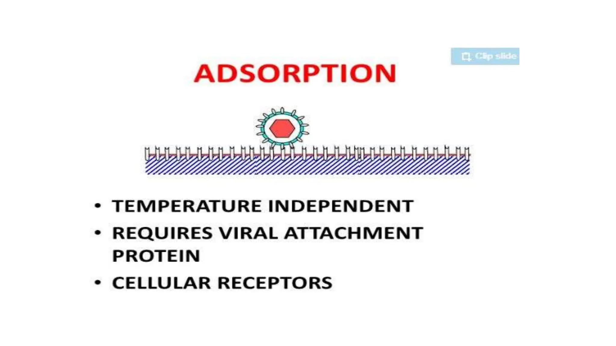 Introduction to Viruses | PPTX