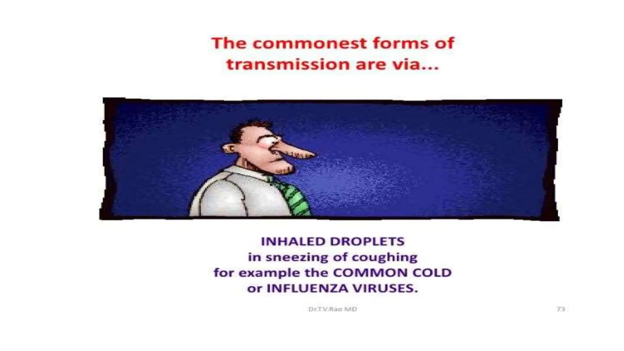 Introduction to Viruses | PPTX