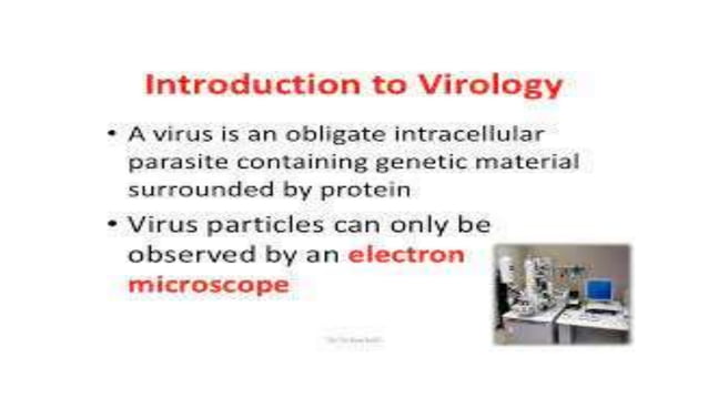 Introduction to Viruses | PPTX | Biological Sciences | Science