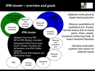4 ipm cluster_accra2 | PPT