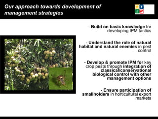 4 ipm cluster_accra2 | PPT