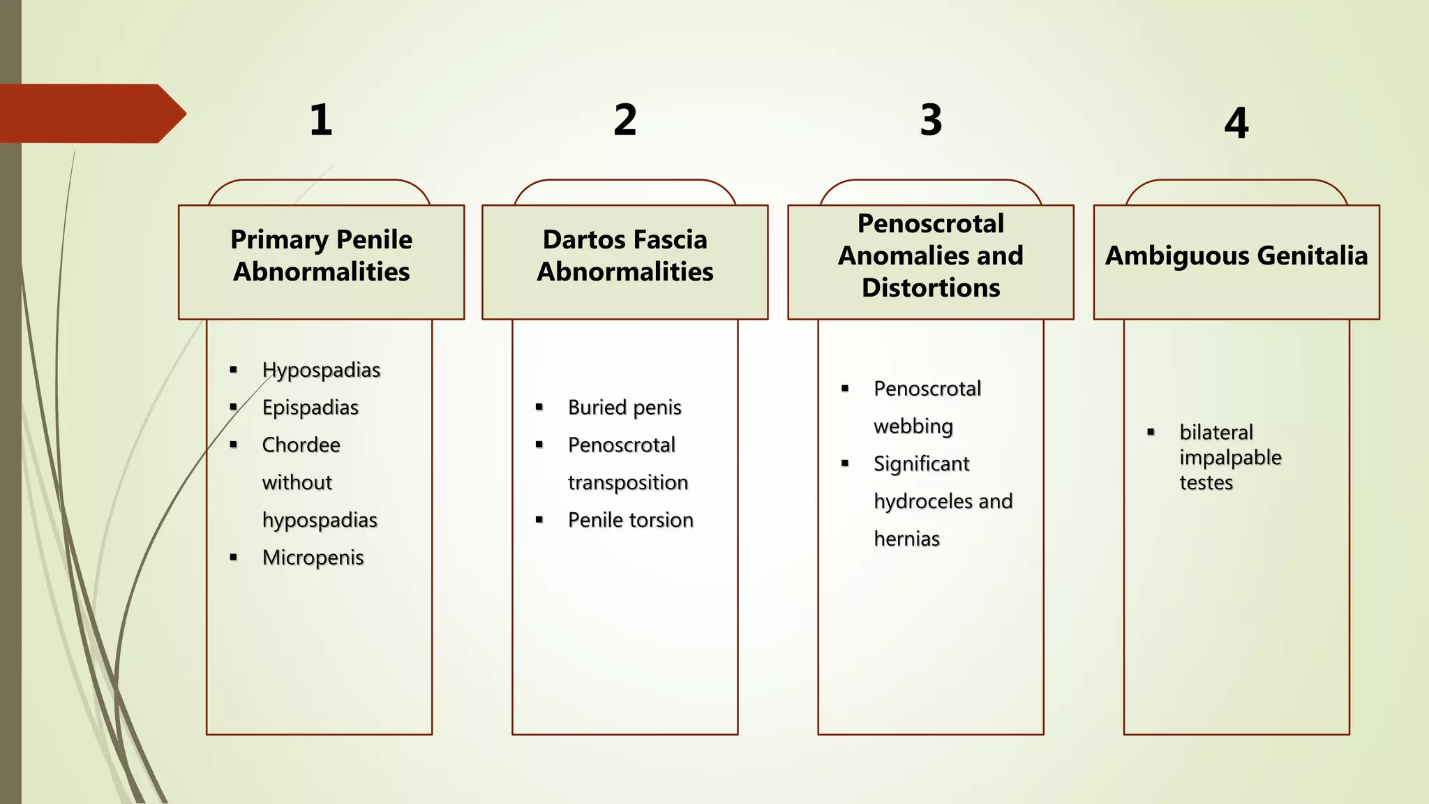 Pediatric Circumcision lecture | PPTX