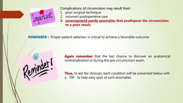 Pediatric Circumcision lecture | PPTX