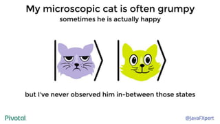 Quantum Computing and Superpositional Cats | PPT