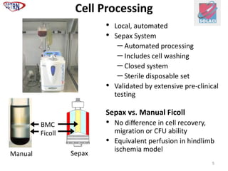 The Effect of Timing of Stem Cell Delivery Following Acute Myocardial ...