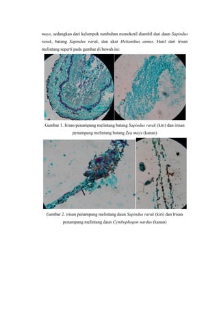PEMBUATAN_PREPARAT_IRISAN_METODE_PARAFIN.pdf
