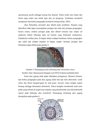 PEMBUATAN_PREPARAT_IRISAN_METODE_PARAFIN.pdf