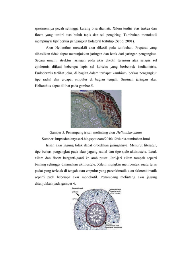 PEMBUATAN_PREPARAT_IRISAN_METODE_PARAFIN.pdf