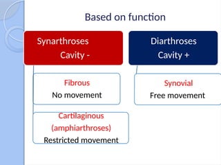 4 Joints of human body(arthrology)-general anatomy | PPTX