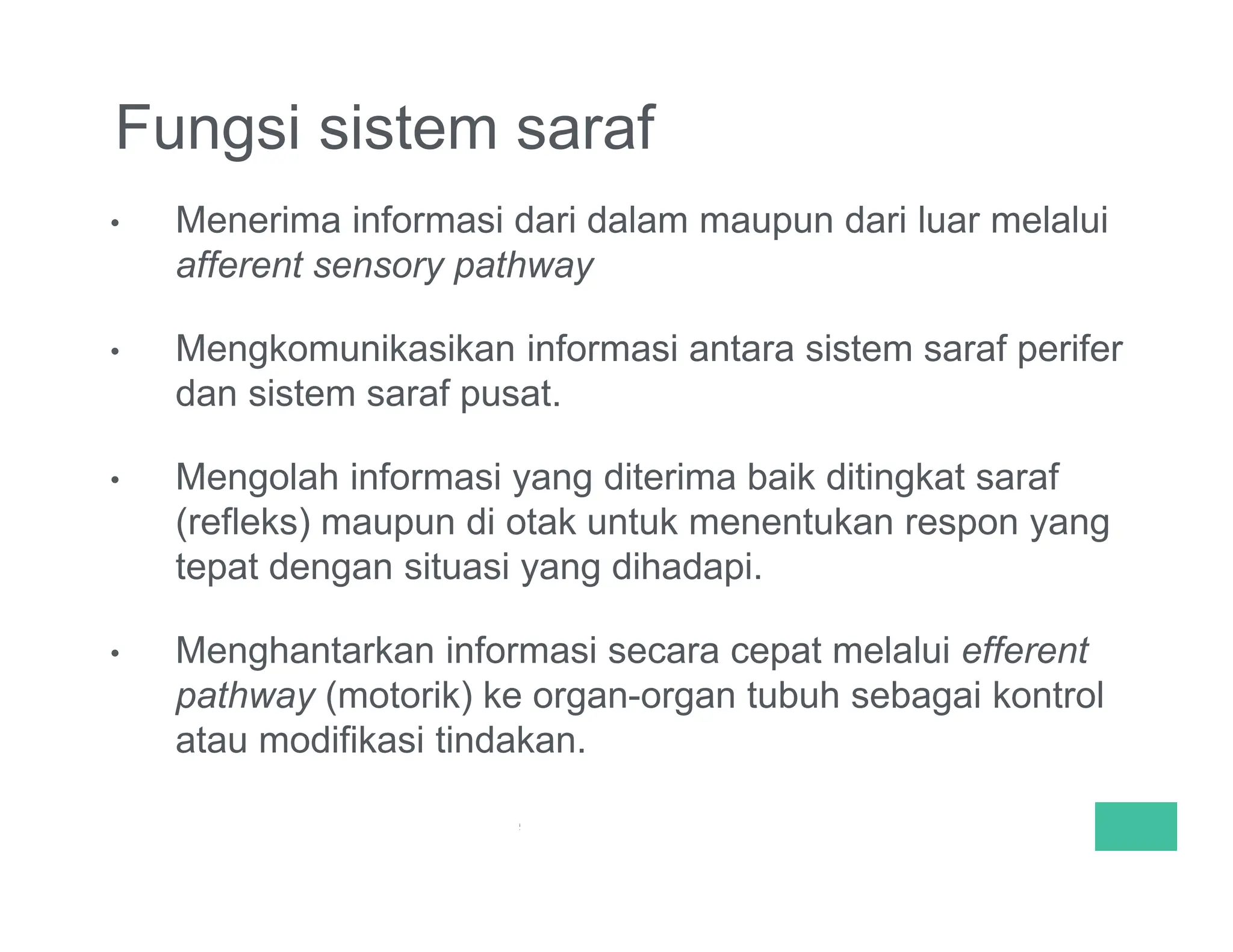 Materi_Kuliah_Anatomi_Fisiologi_Sistem_Saraf.pdf