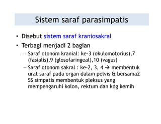 Materi_Kuliah_Anatomi_Fisiologi_Sistem_Saraf.pdf