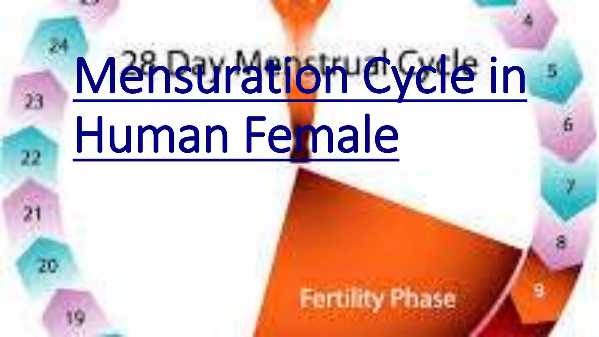 Mensuration cycle | PPTX