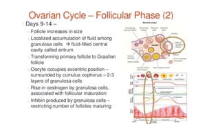 Mensuration cycle | PPTX