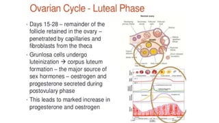 Mensuration cycle | PPTX