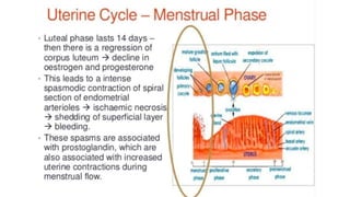 Mensuration cycle | PPTX