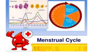 Mensuration cycle | PPTX