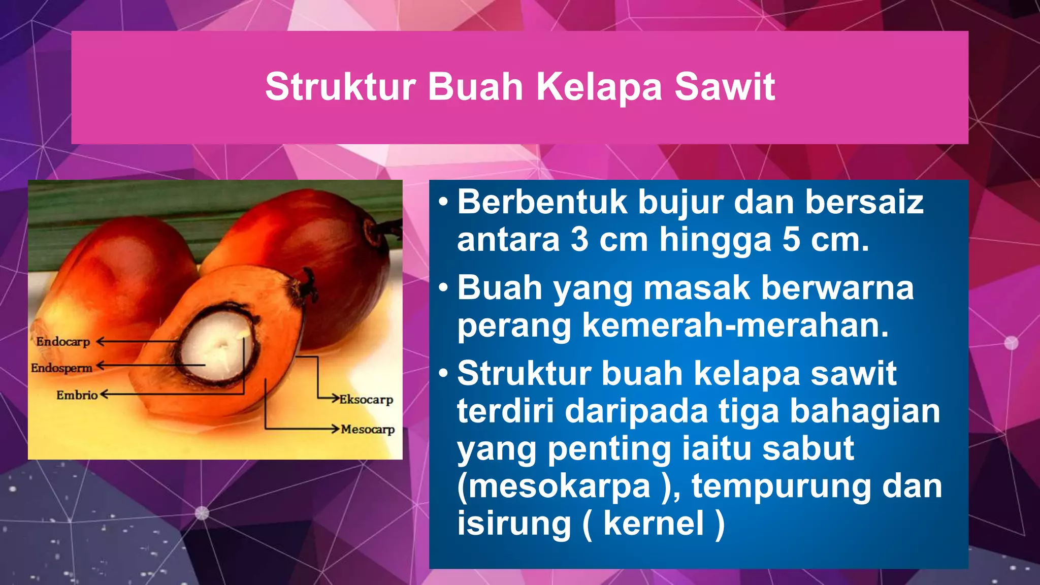 4. Kelapa Sawit Serta Kepentinganya Kepada Pembangunan Negara | PPTX