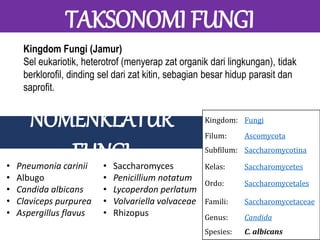 4 kelompok mikroorganisme 2 | PPTX