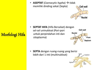 4 kelompok mikroorganisme 2 | PPTX