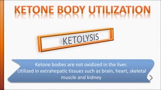 4 Ketone body metabolism.ppt