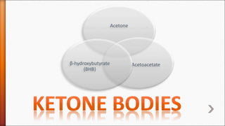 4 Ketone body metabolism.ppt
