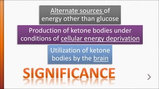 4 Ketone body metabolism.ppt