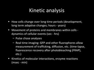 4 kinetics enzymology | PPT