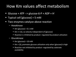 4 kinetics enzymology | PPT