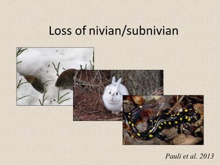 Climate Change and Wildlife | PDF