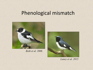 Climate Change and Wildlife | PDF