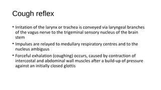 Functional anatomy of brainstem and clinical correlates | PPT