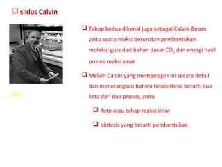 4 kuliah fotosintesis | PPT