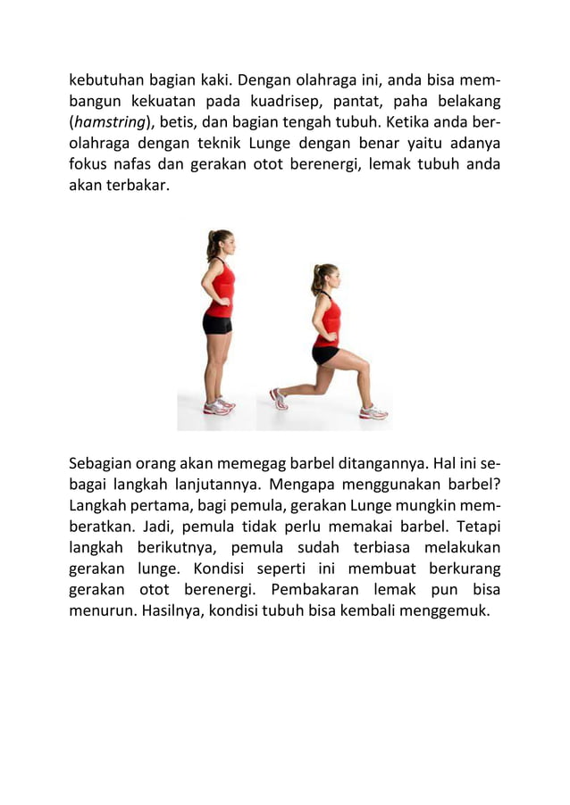 Tips Diet | 4 kunci diet 30 hari kurusin badan di rumah | PDF