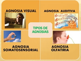 la agnosia | PPTX